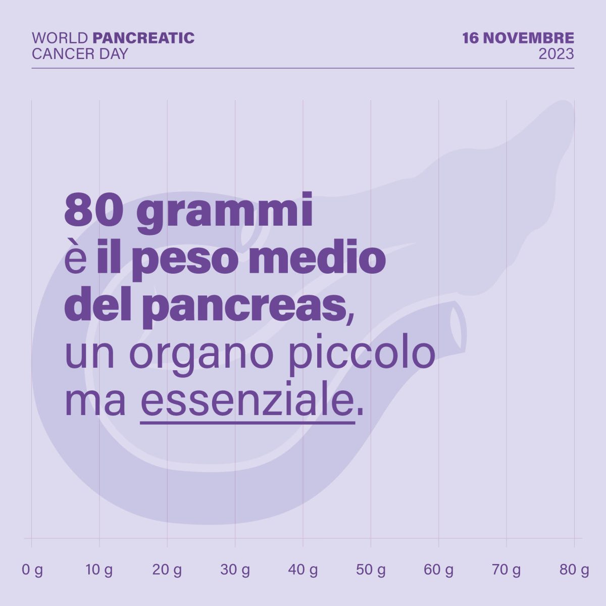 Tumore al pancreas: casi in aumento e assenza di percorsi diagnostici ...